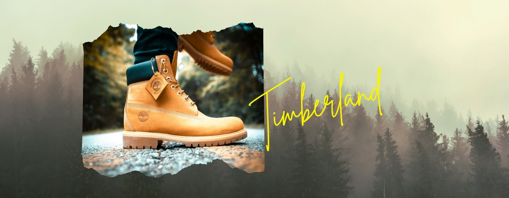 Timberland 6-inch Basic vs. Premium: I Reveal Which to Choose - 90s ...